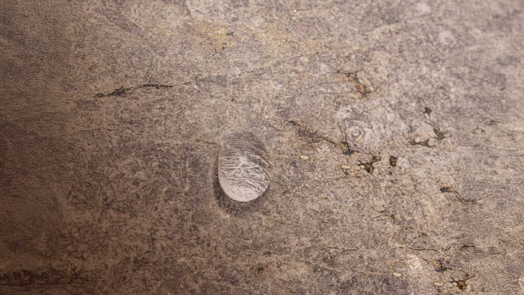 Ceramic color factory: innovative solutions | Sicer